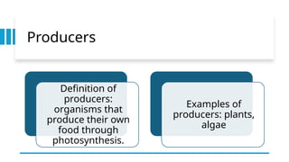Food chain slides for teaching grade 8 learners | PPTX