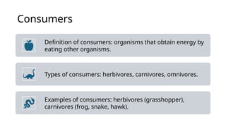 Food chain slides for teaching grade 8 learners | PPTX