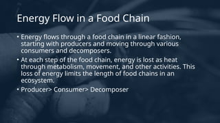 Food chain slides for teaching grade 8 learners | PPTX