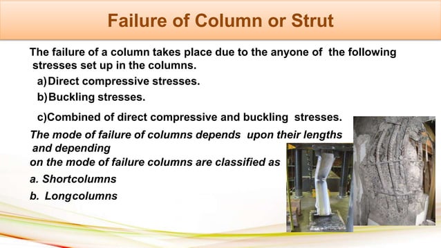 column and strut difference between them