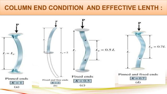 column and strut difference between them