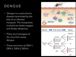 Mosquito | PDF
