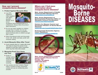 Mosquito Borne Diseases Brochure and Information | PDF | Infectious Diseases | Diseases and ...