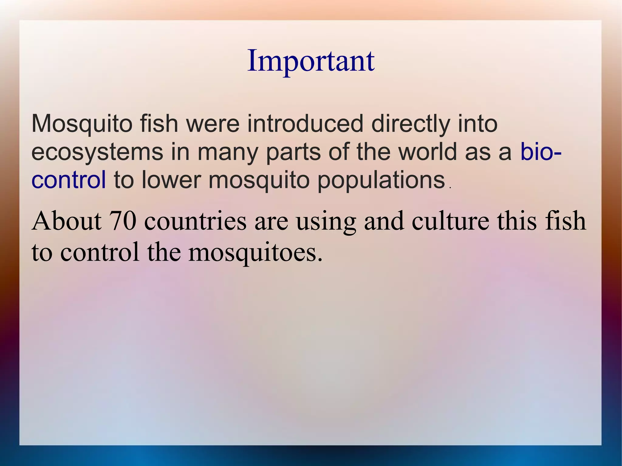 Mosquito Fish | ODP | Fish and Aquariums | Pets