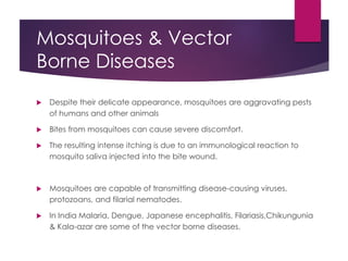 Mosquito biology & life cycle | PDF