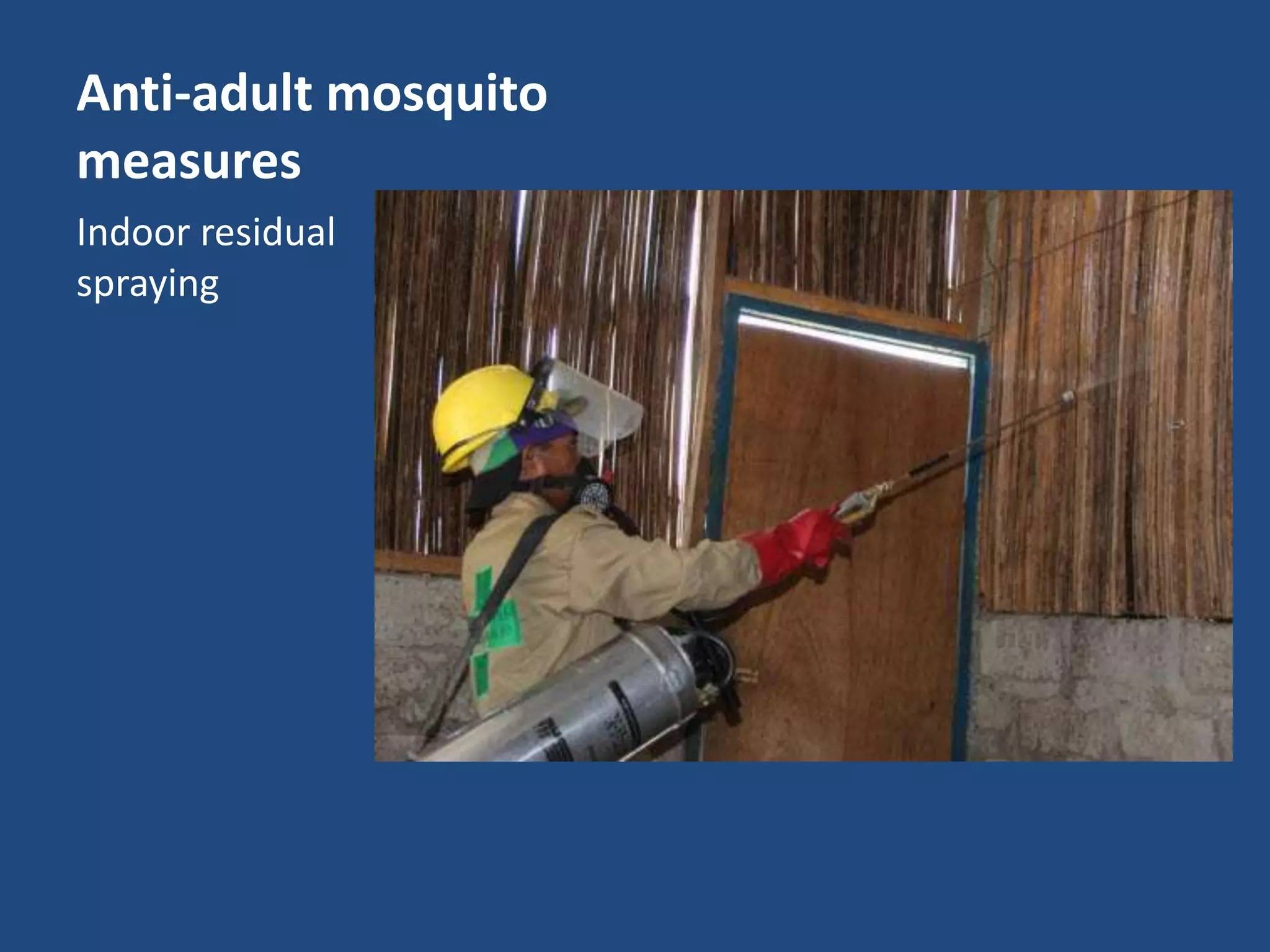 Prevention of Mosquito borne diseases | PPTX