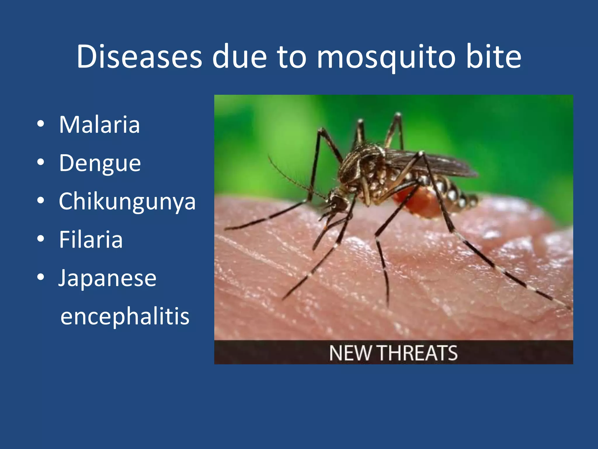 Prevention of Mosquito borne diseases | PPTX