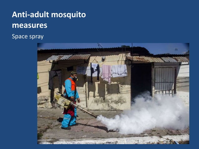Prevention of Mosquito borne diseases | PPTX