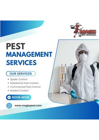 Mosquito Control Services at Magic Pest Control in Gilbert, Queen Creek ...