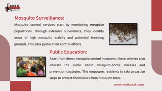 Mosquito Control Services Keeping San Angelo Safe from Mosquito-Borne ...