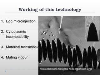 Recent technology to control mosquitoes | PPT