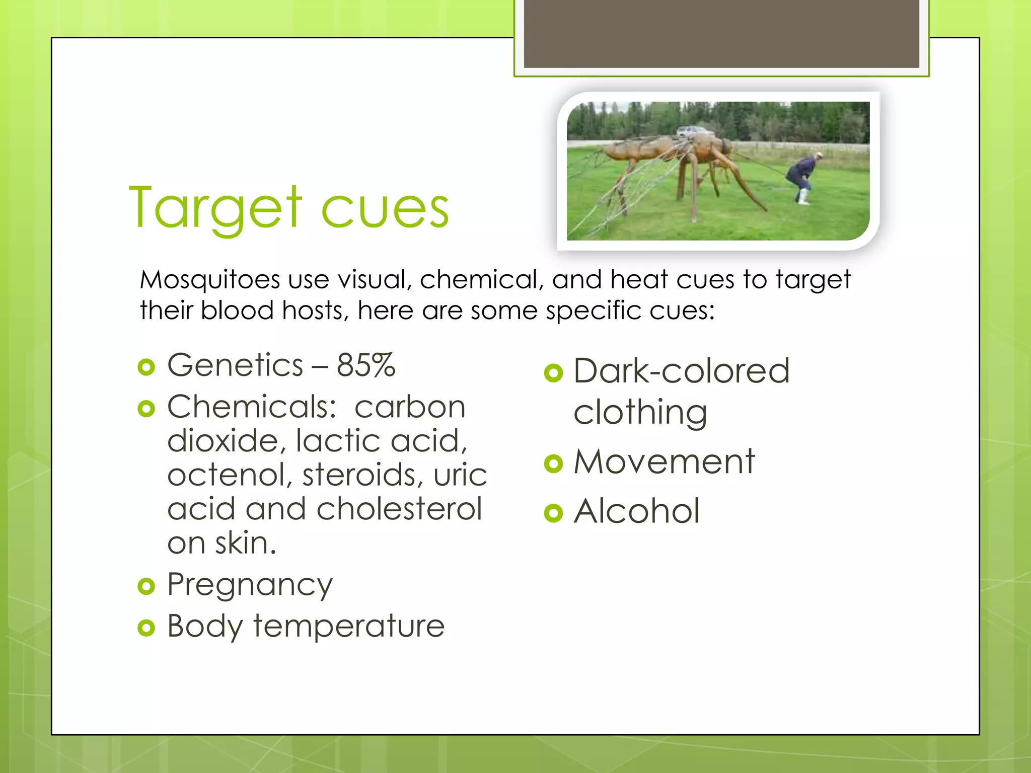 Mosquitoes | PPT