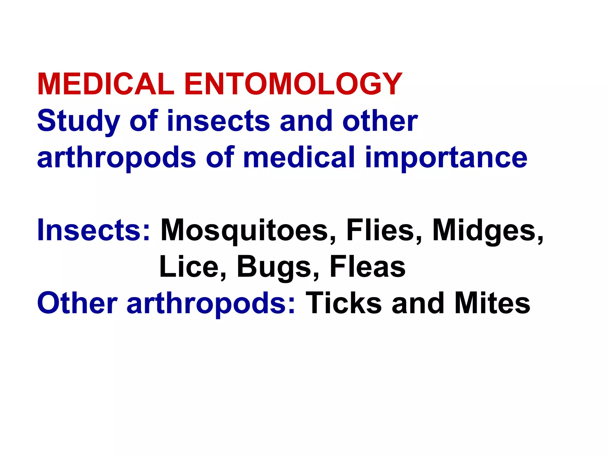 Mosquitoes | PPT