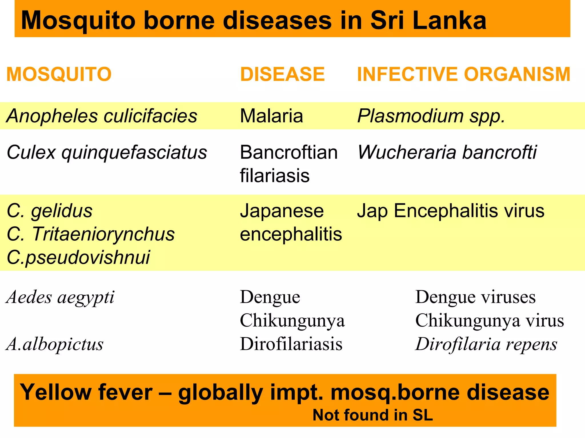 Mosquitoes | PPT