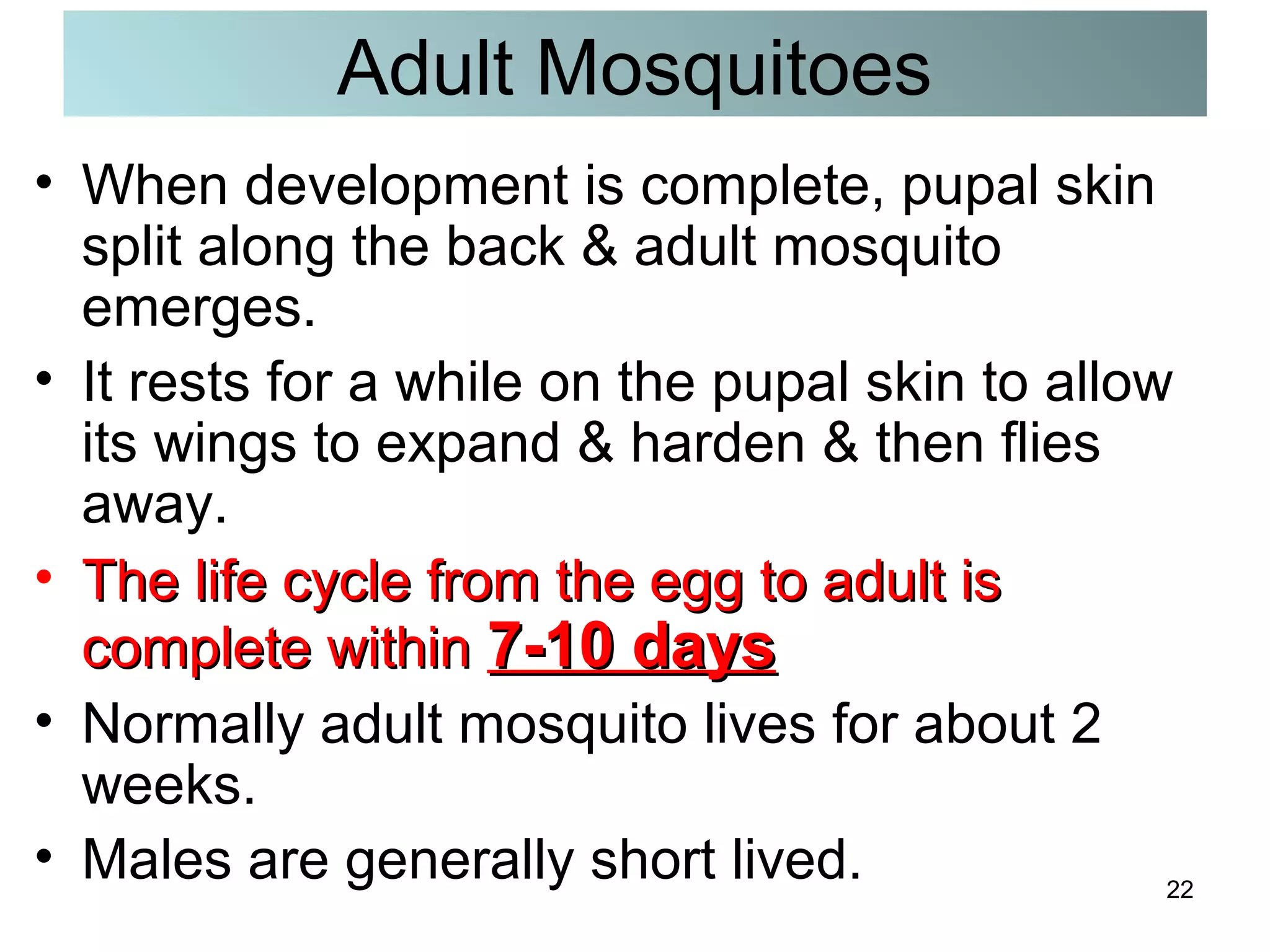 Mosquitoes | PPT