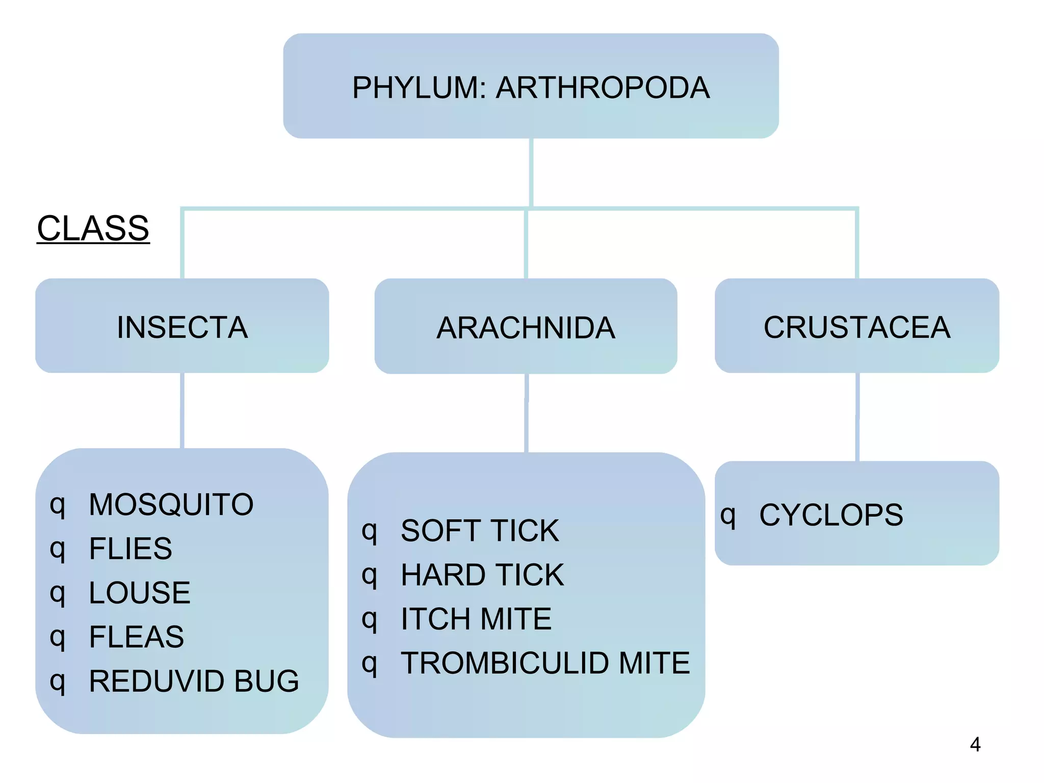 Mosquitoes | PPT