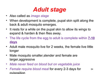 Mosquitoes | PPT