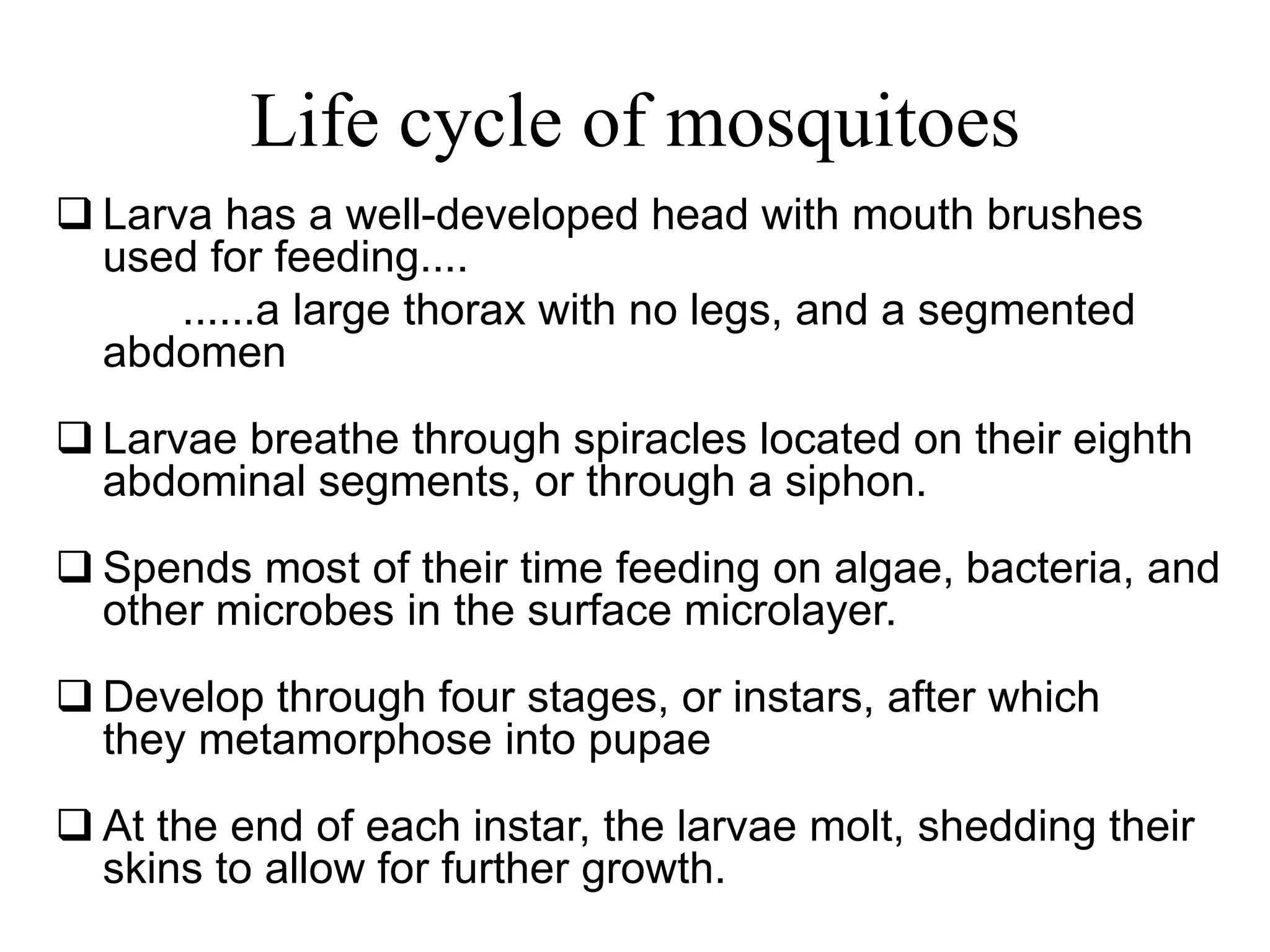Mosquitoes | PPTX