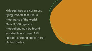 Mosquitoes 101.pptx