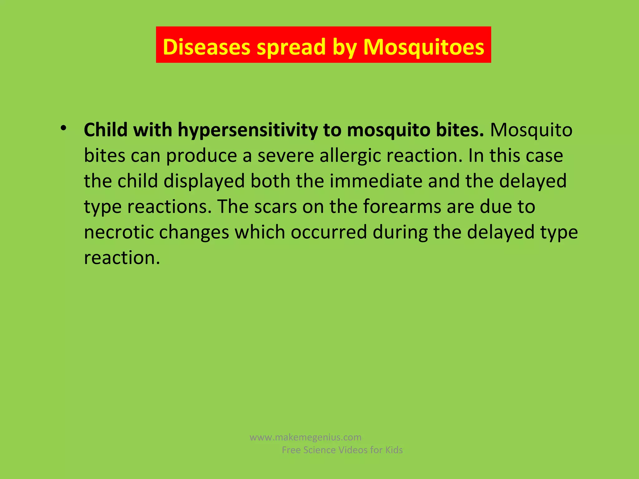 Mosquitoes interesting facts | PPT