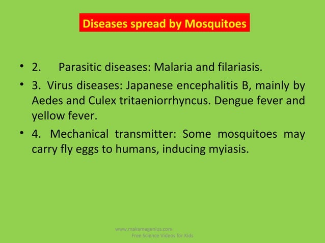 Mosquitoes interesting facts | PPT
