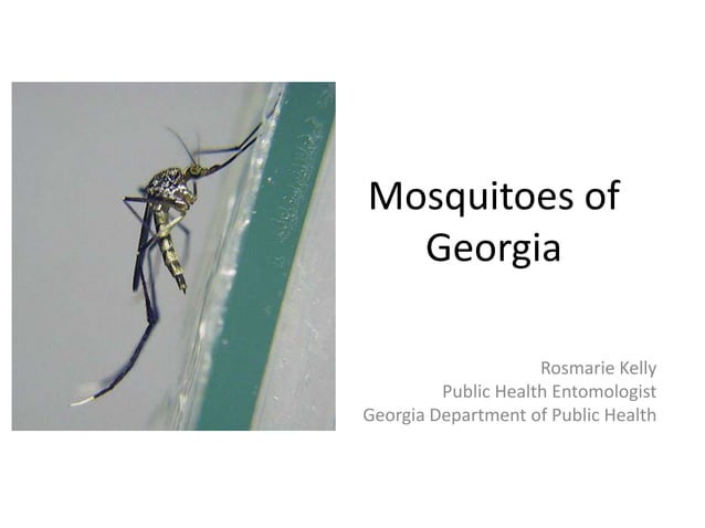 Mosquitoes of Georgia | PPTX