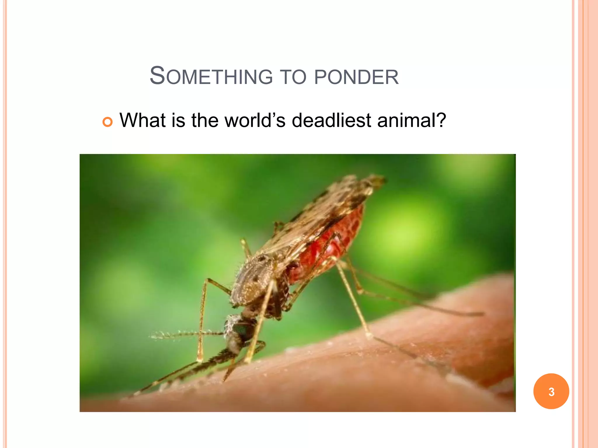 Mosquitoes vectors of malaria and their control | PPTX