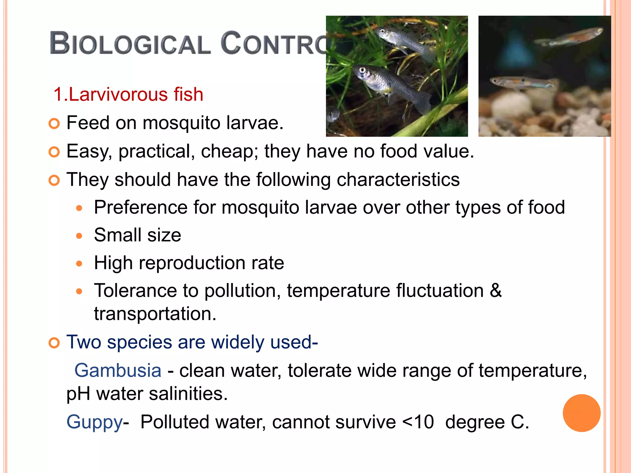 Mosquitoes vectors of malaria and their control | PPTX