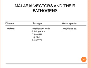 Mosquitoes vectors of malaria and their control | PPTX