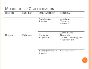 Mosquitoes vectors of malaria and their control | PPTX