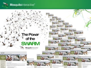 Mosquito Power Point Presentation | PPT