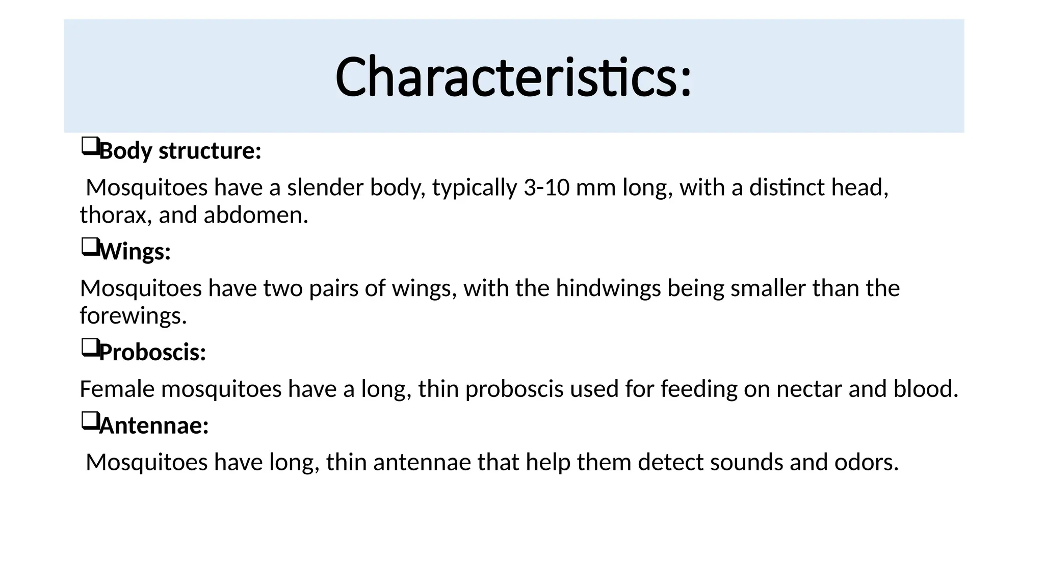 mosquito isba..............................pptx