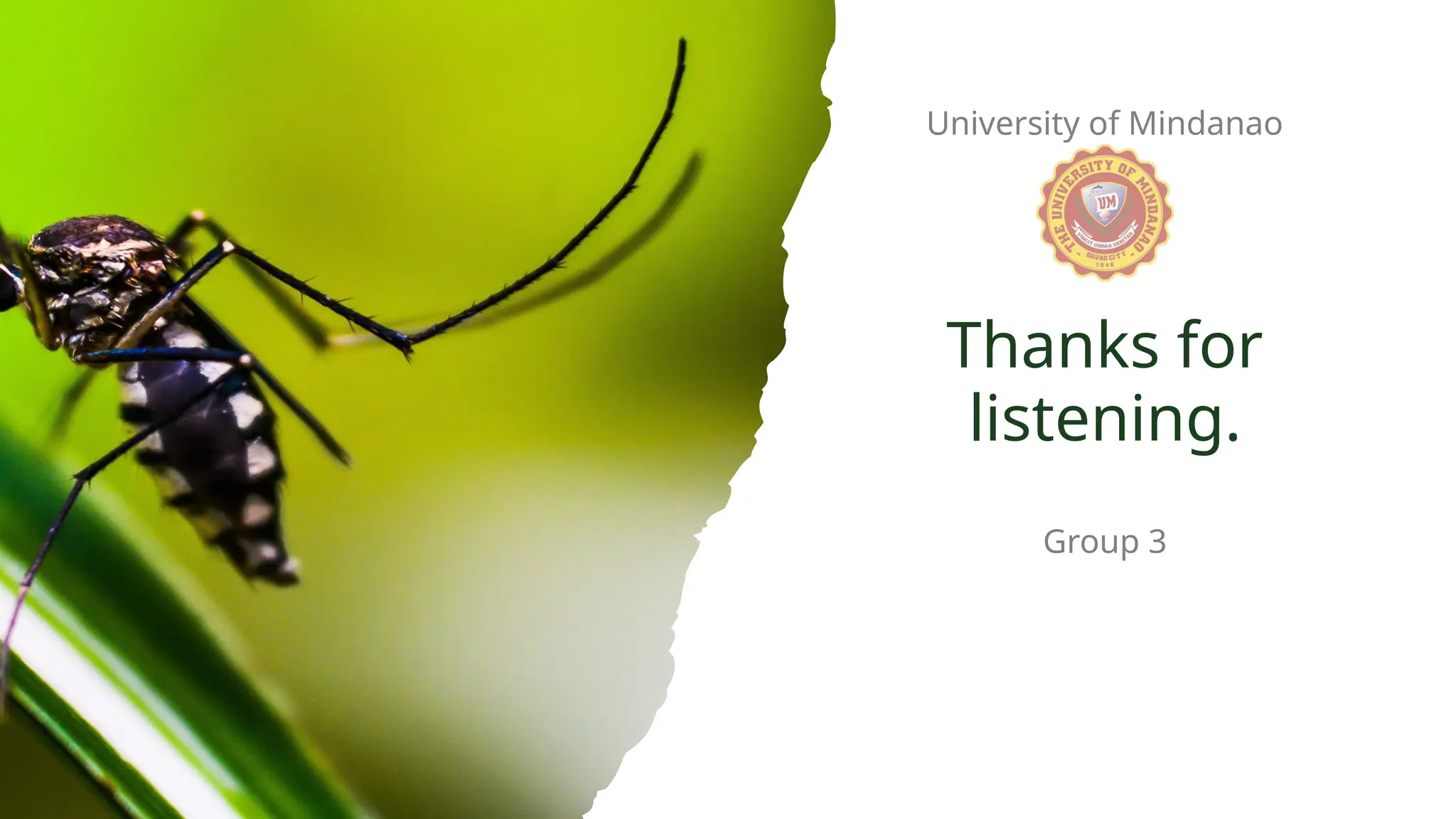 Four stages of a Mosquito life Cycle PPT.pptx by | PPTX