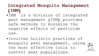 Mosquito Mayhem (Cat 41) | PPT