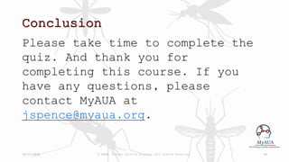 Mosquito Mayhem (Cat 41) | PPT