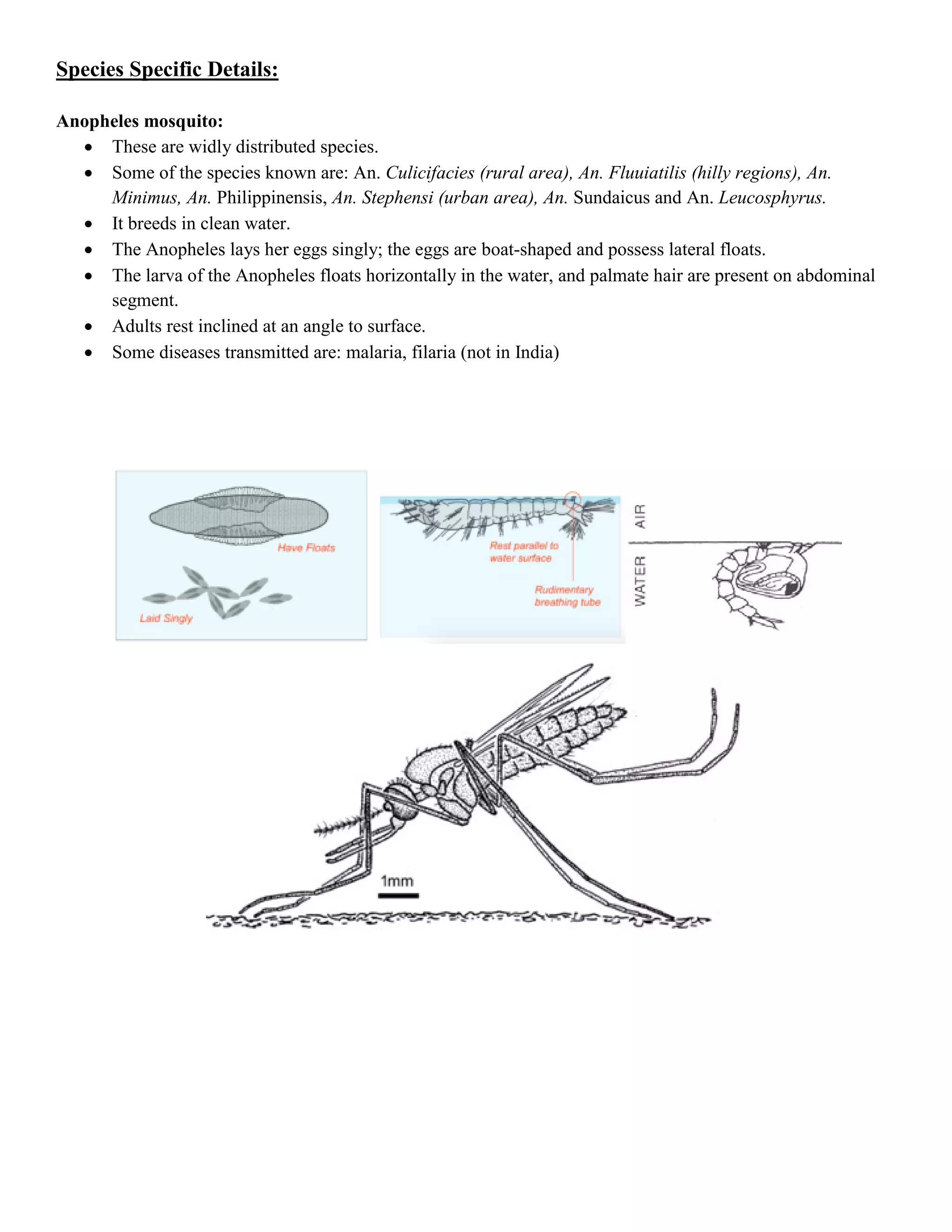 Mosquito notes | PDF