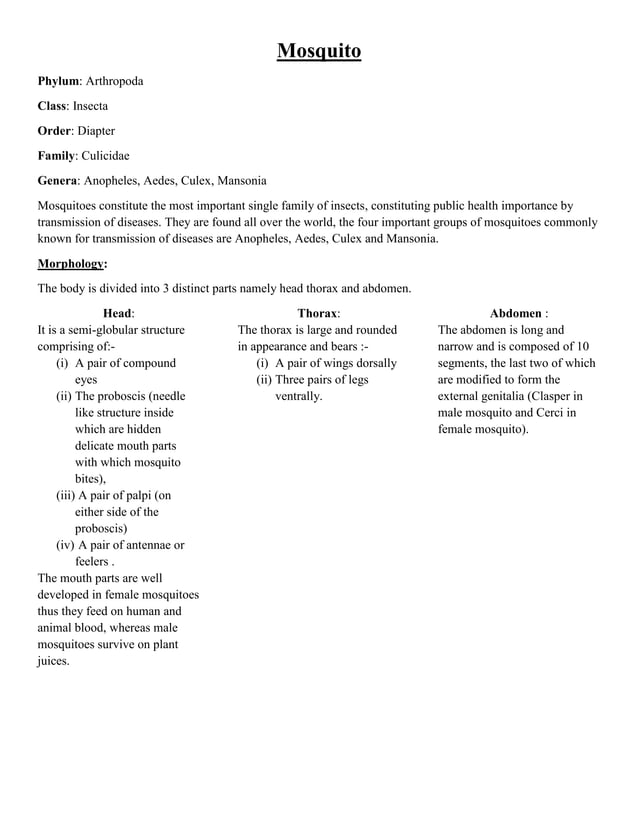 Mosquito notes | PDF | Infectious Diseases | Diseases and Conditions