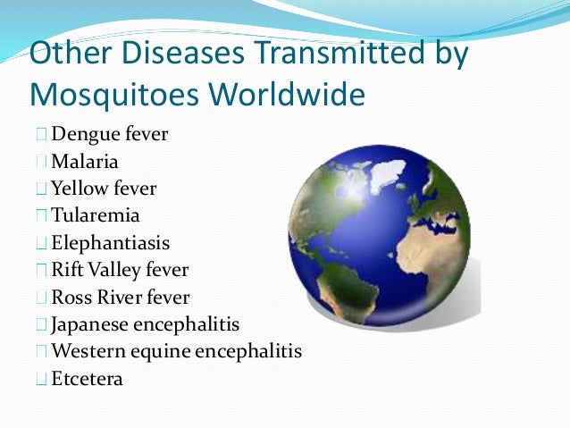 Mosquitos and the Diseases they Carry