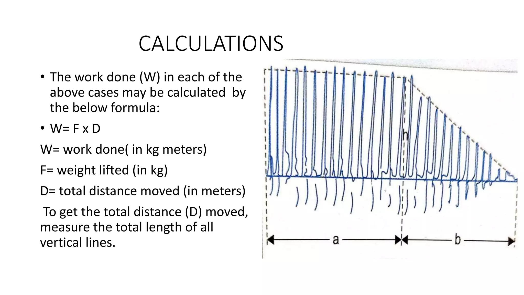 Mosso's ergography (including Video description of instrument and ...