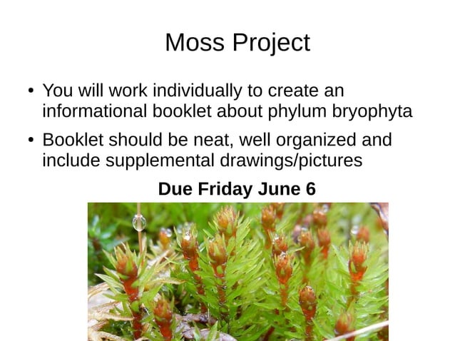 Moss project | ODP