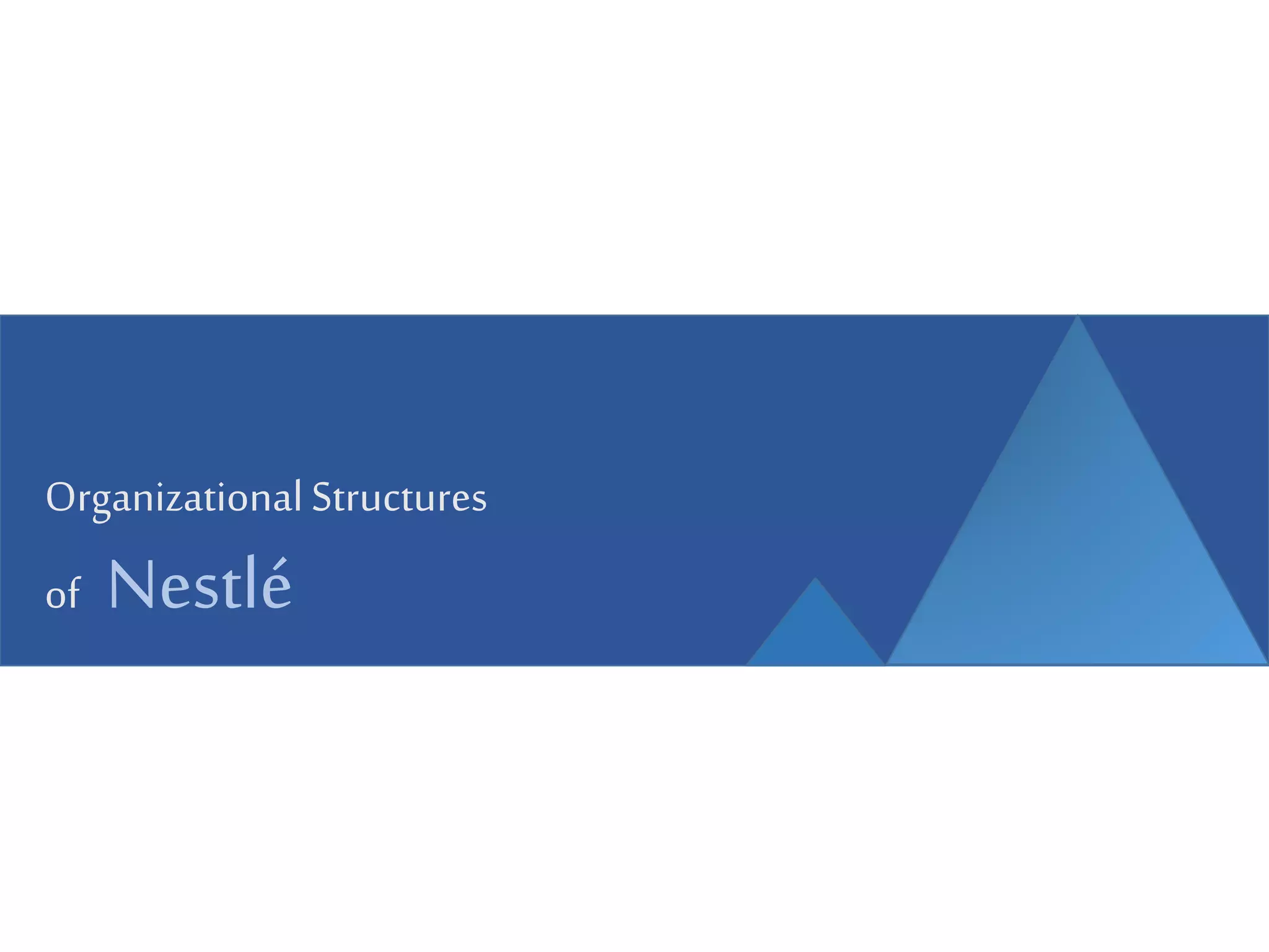 Organizational Structures of Nestle | PPTX
