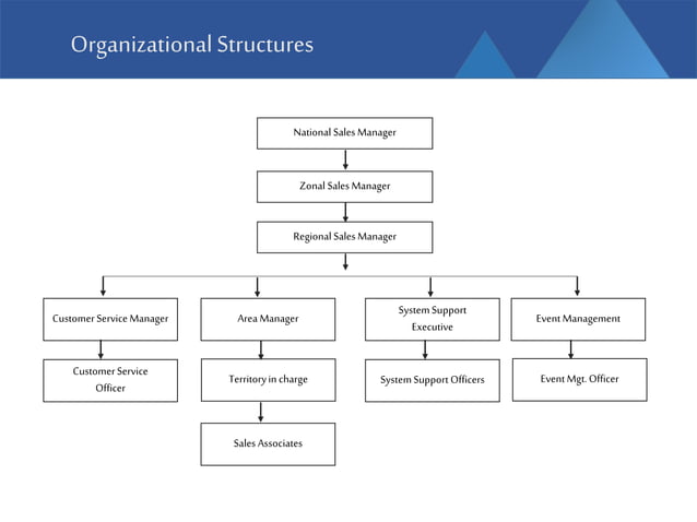 Organizational Structures of Nestle