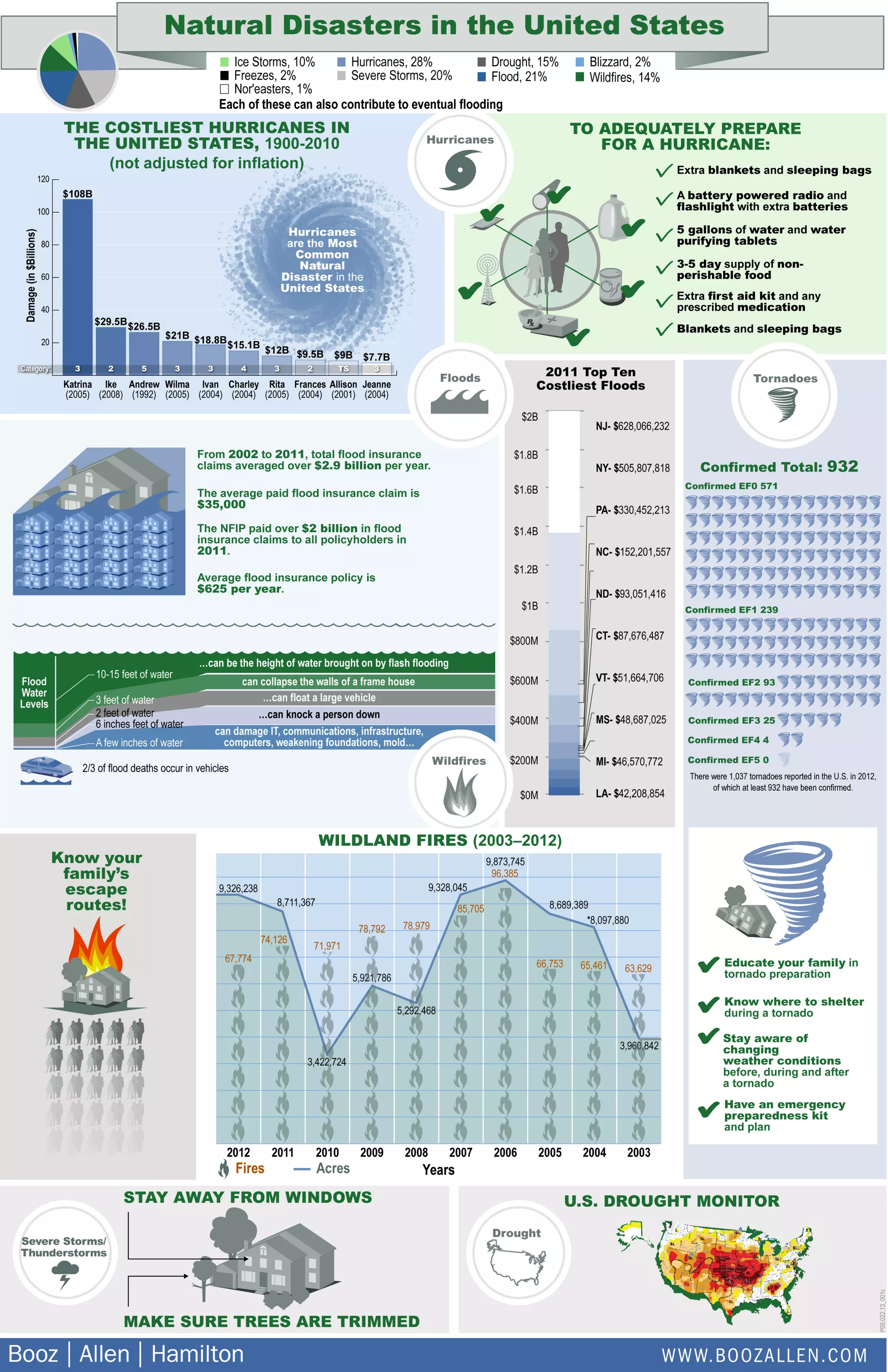 Most Common Natural Disasters Infographic | PDF