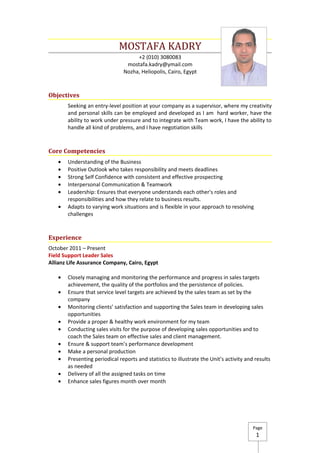 Mostafa Kadry CV
