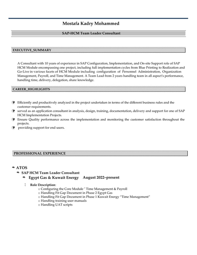 Mostafa Kadry(SAP HCM Team leader) (CV)1 | DOCX | Human Resources | Business