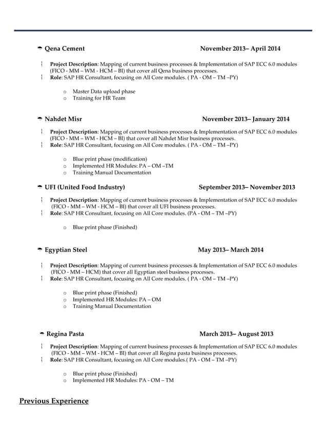 Mostafa Kadry(SAP HCM Team leader) (CV)1 | DOCX | Human Resources | Business