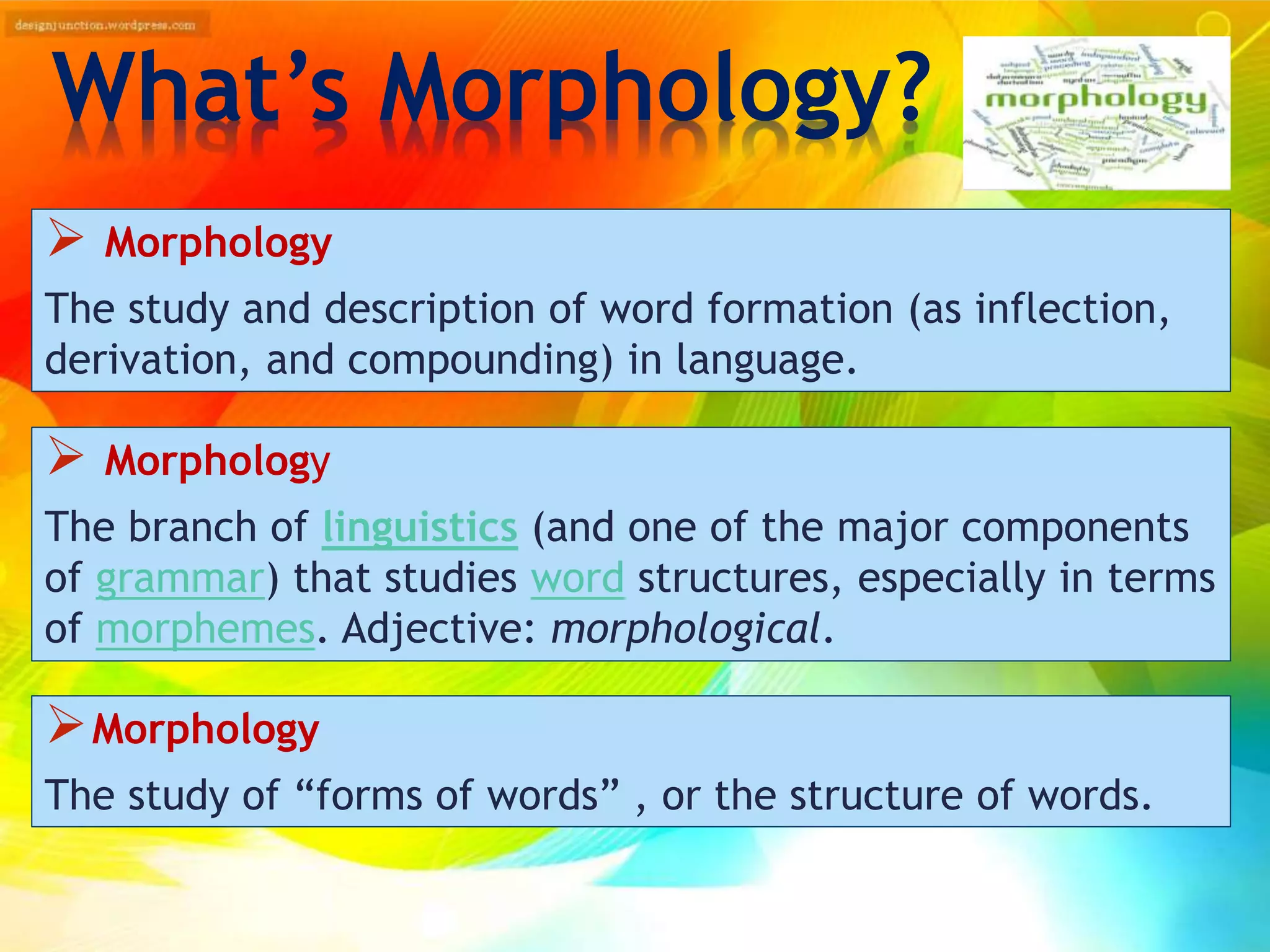 MORPHOLOGY | PPTX