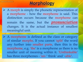 MORPHOLOGY | PPTX