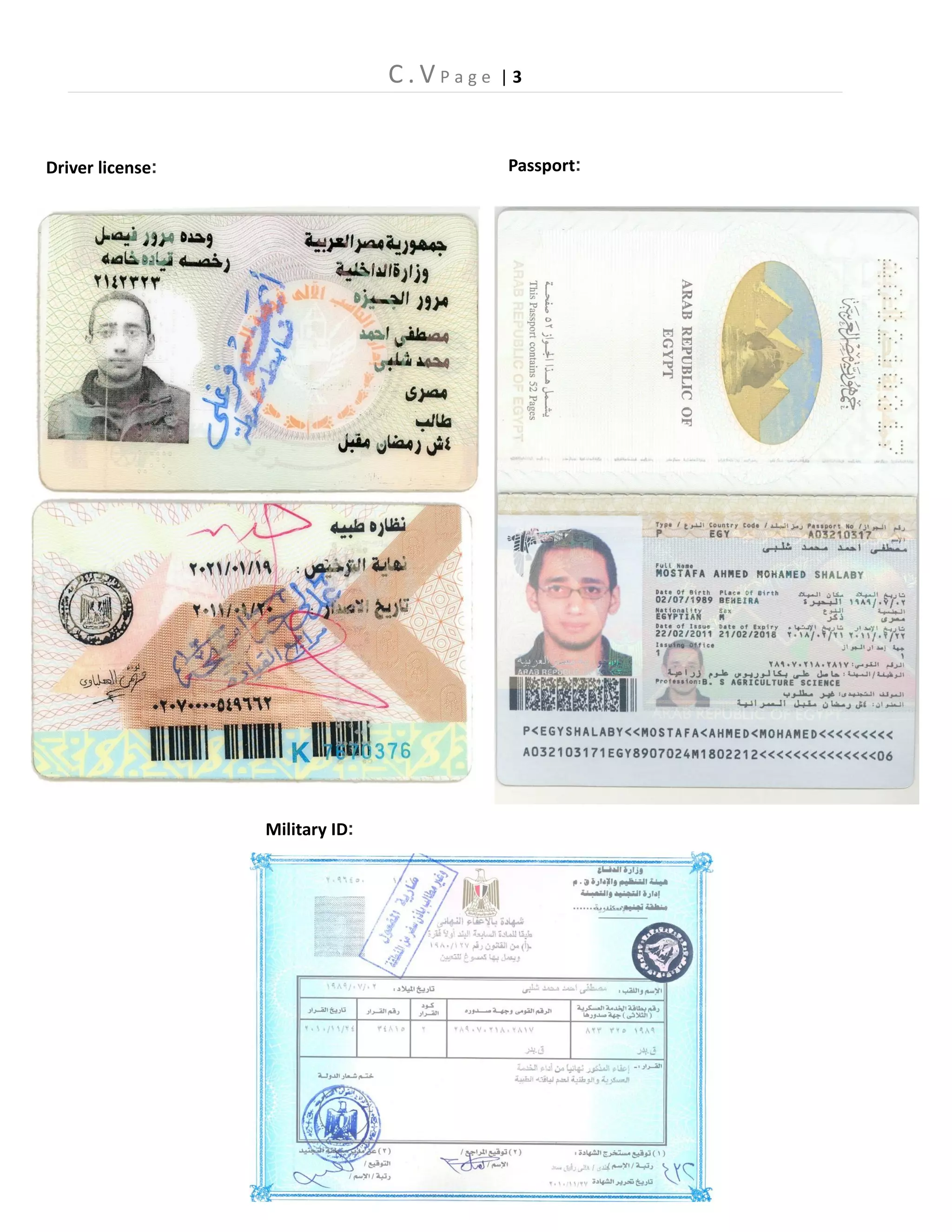 Mostafa shalaby c.v | Dec 2014 | PDF