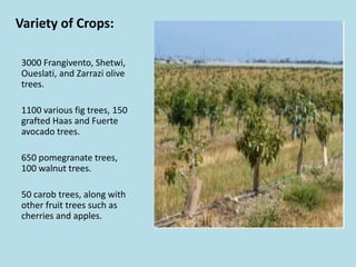 Mosta agriculture products company Tunisia .pptx